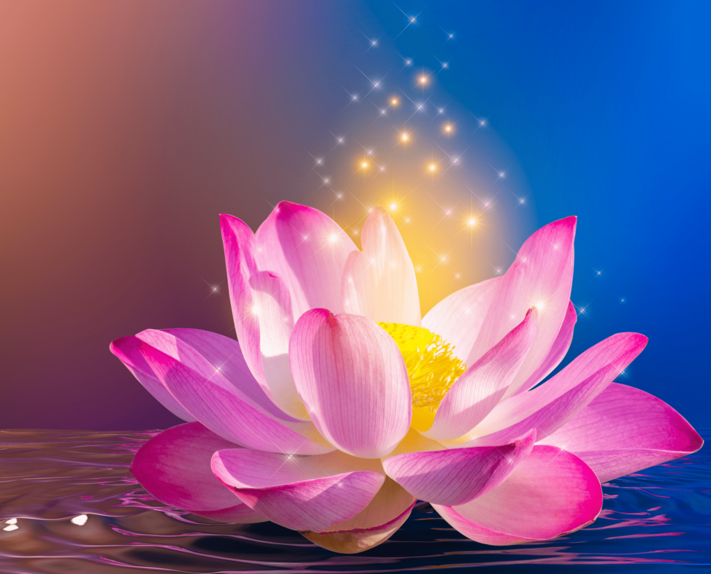 JUNE FULL MOON DAY RETREAT - Metta Mudita